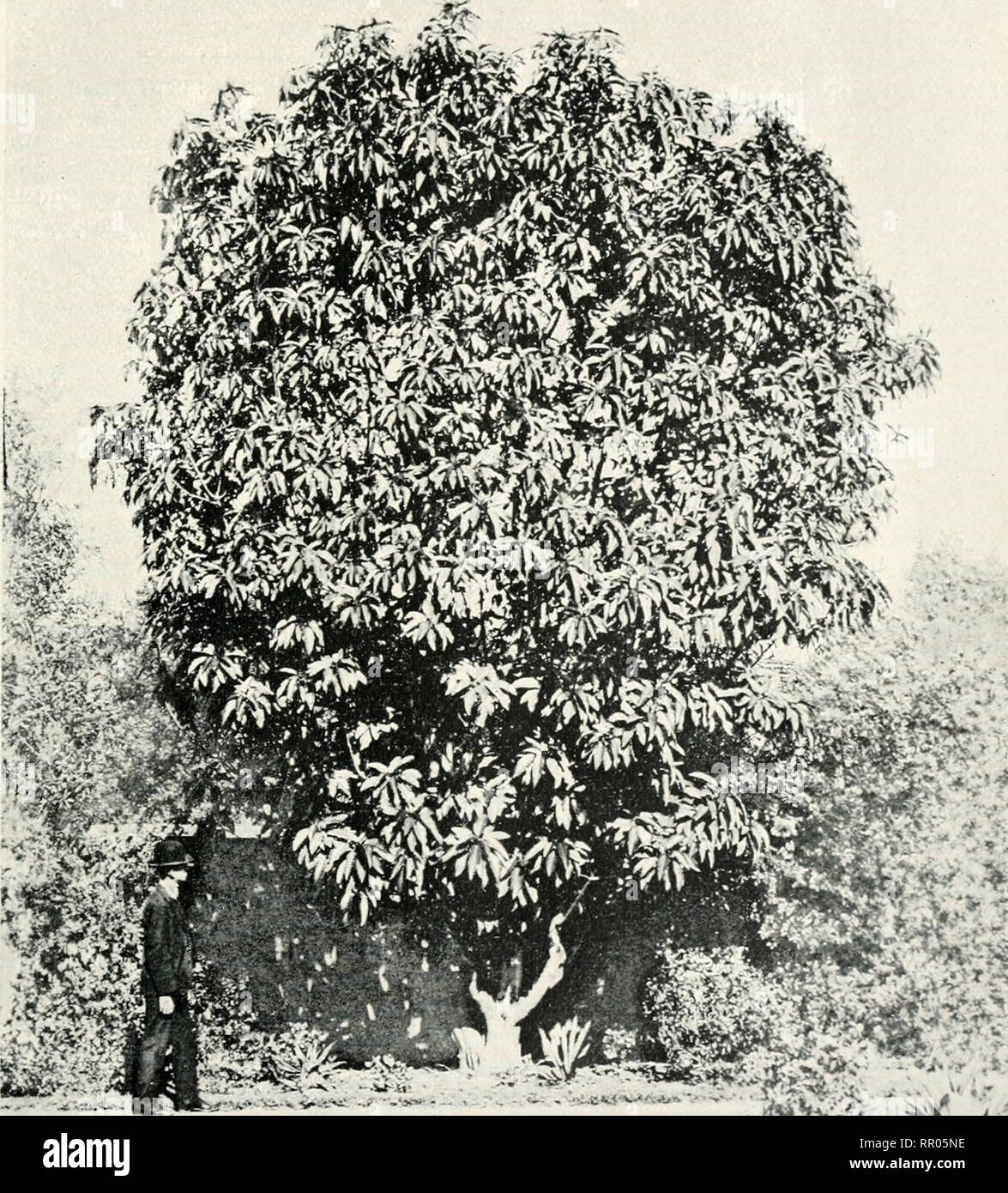 W inds hi-res stock photography and images - Alamy