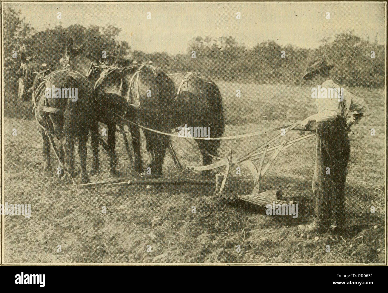 Well digging horse hi-res stock photography and images - Alamy