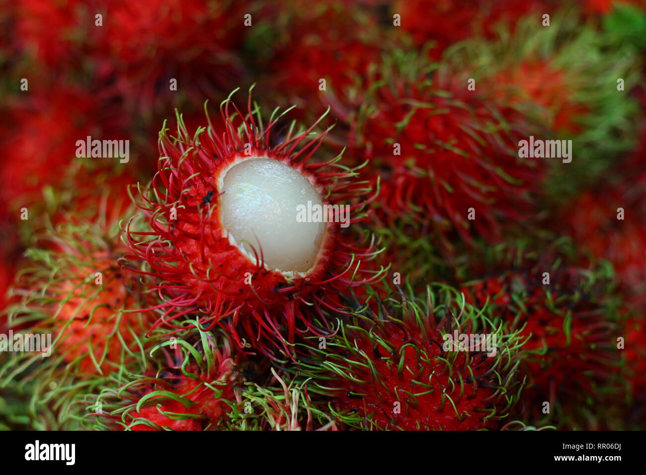 bunch of fresh Rambutan, red and hairy tropical fruits Stock Photo - Alamy
