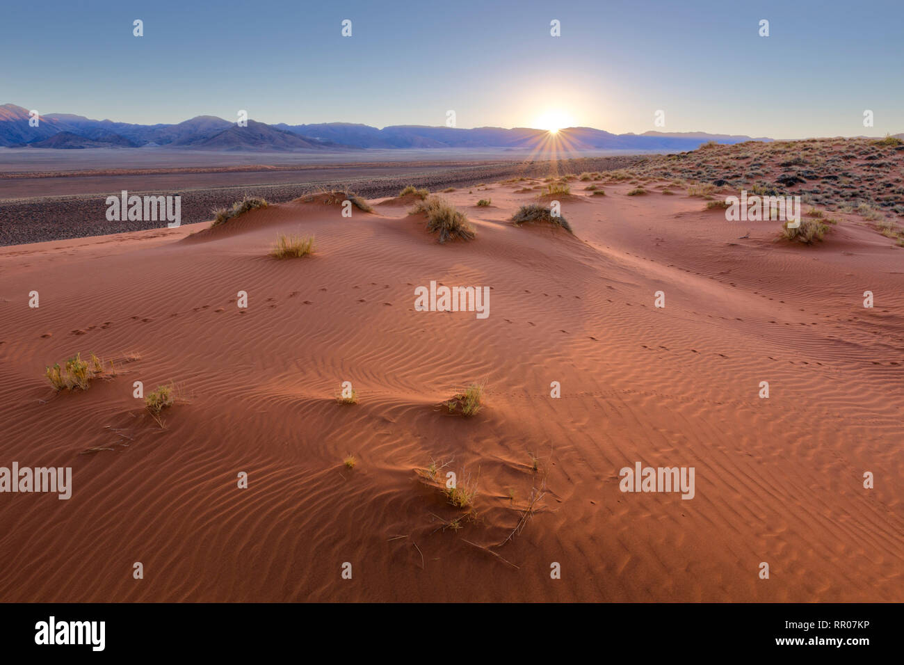 Patterns in the sand at sunrise Stock Photo - Alamy