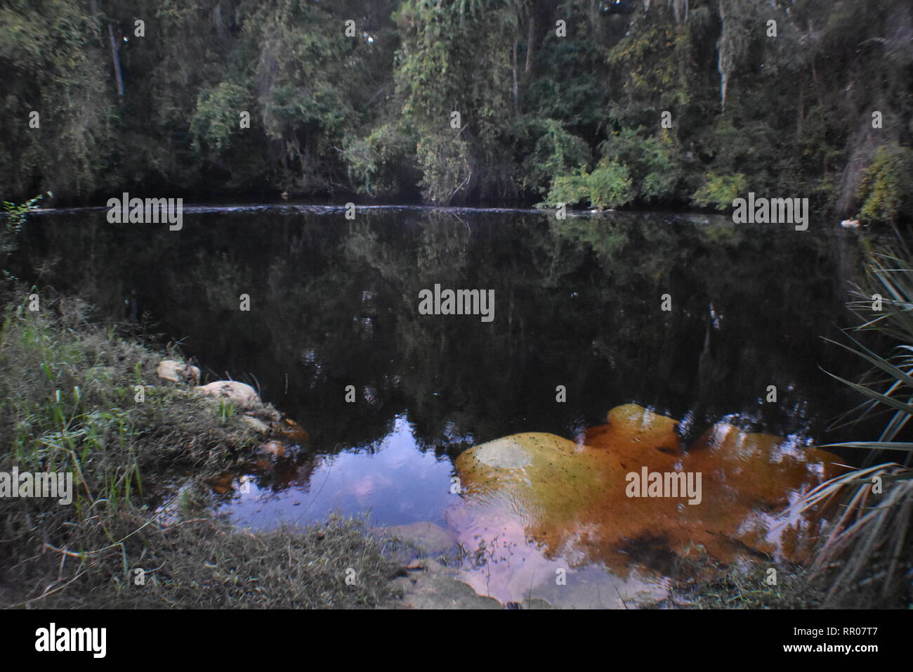 Explore florida hi-res stock photography and images - Alamy
