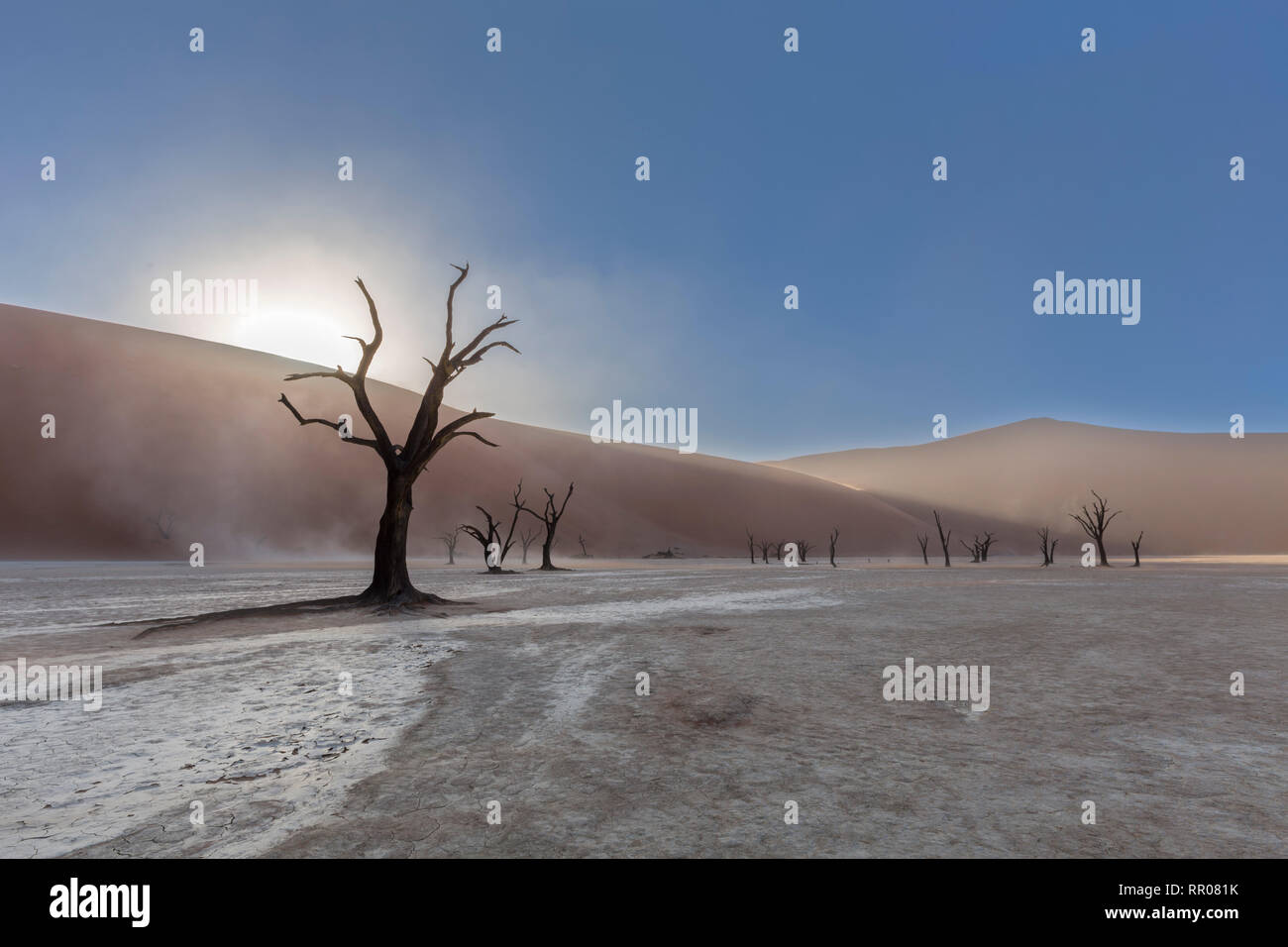 Dust and dry mud in Dooievlei Stock Photo - Alamy