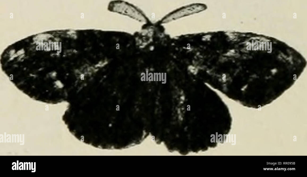 . Agriculture of Maine : ... annual report of the Commissioner of ...