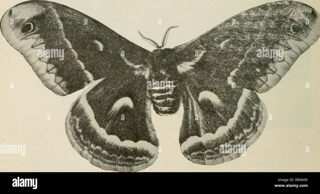 . Agriculture of Maine : ... annual report of the Commissioner of ...