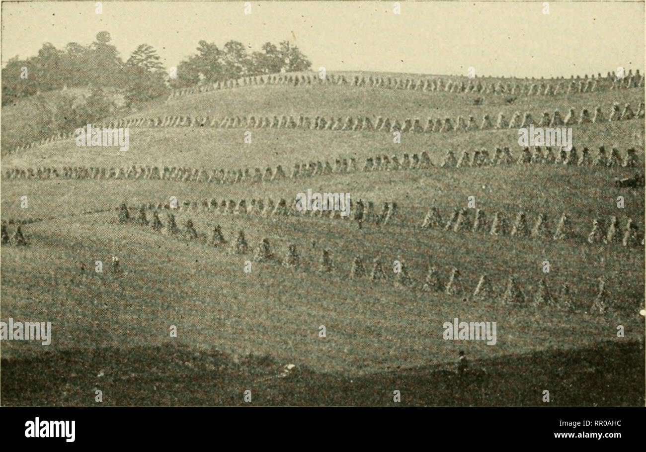 Unfertilized field hi-res stock photography and images - Alamy