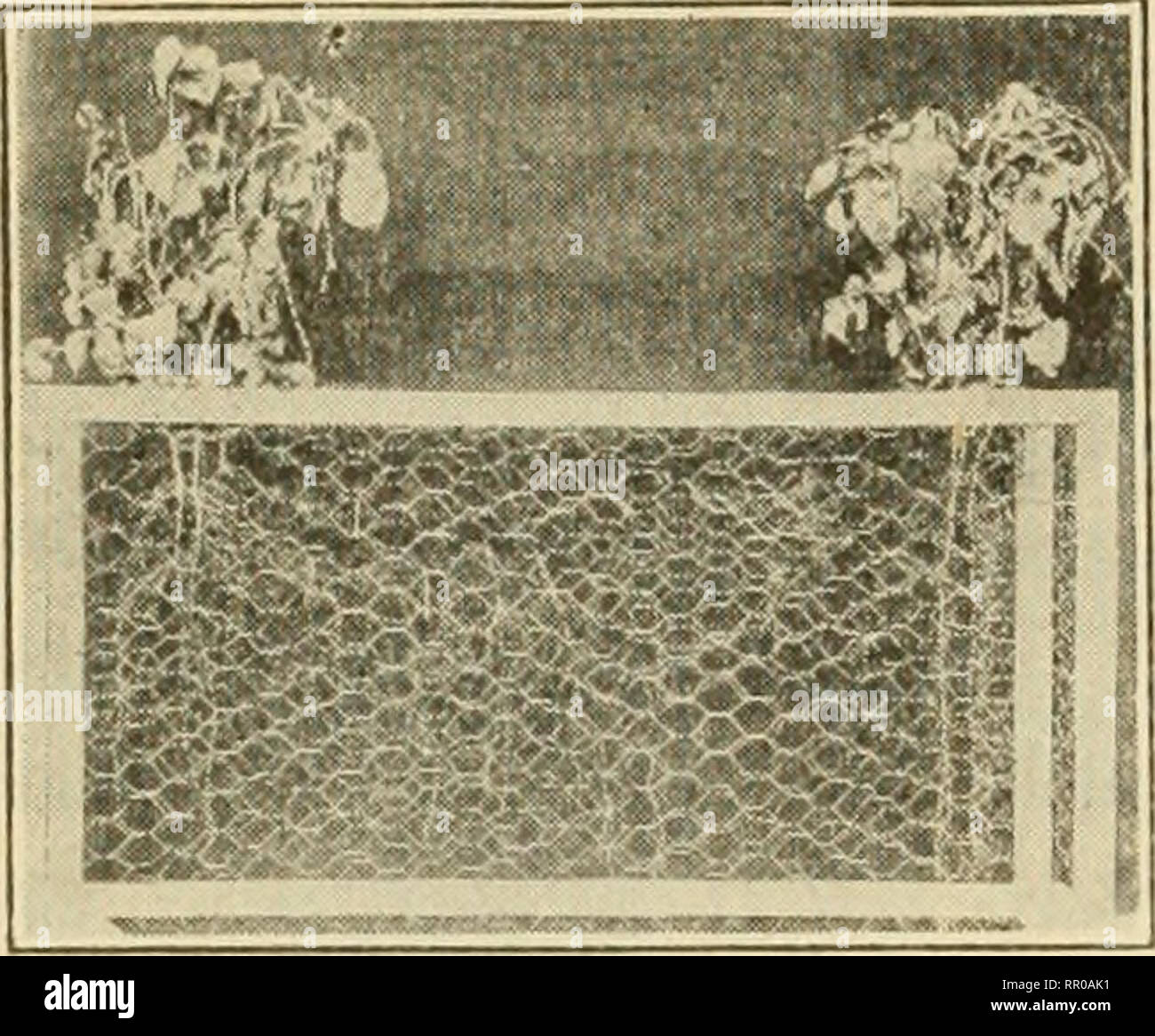. Agriculture for the Kansas common schools. Agriculture. 116 ...