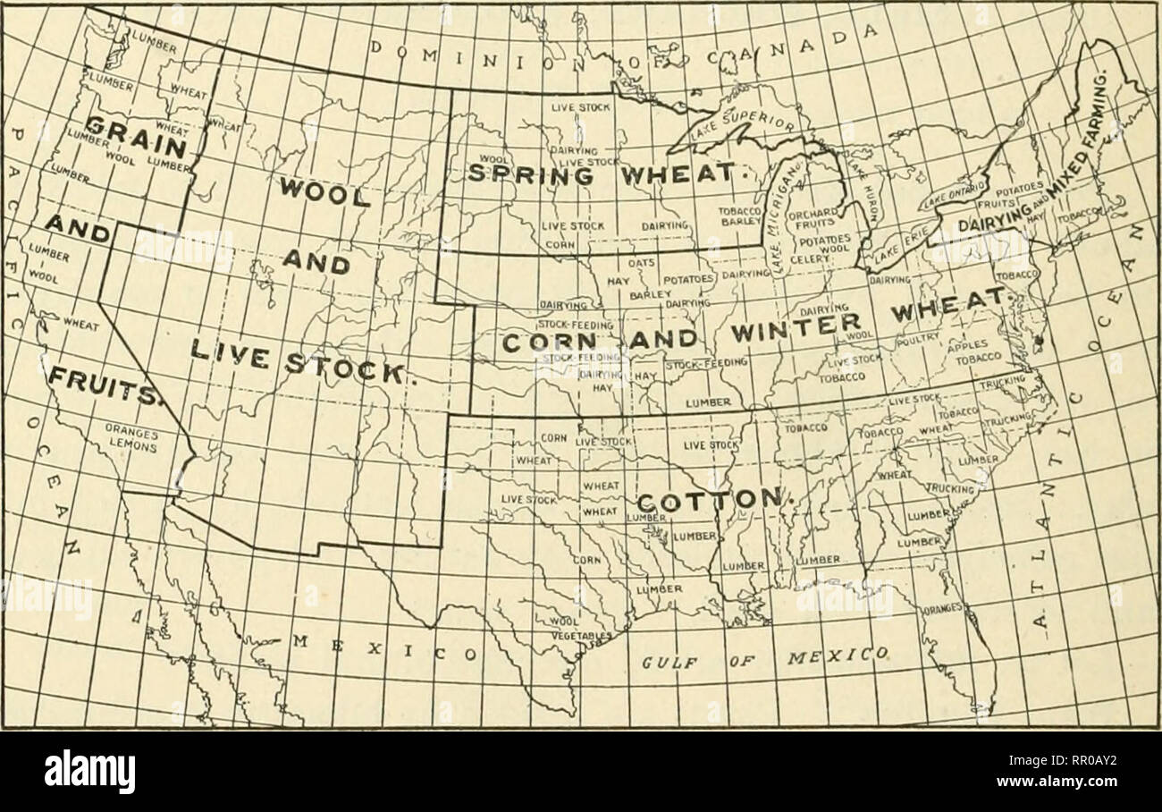 Legume and pod bearing family hi-res stock photography and images - Alamy