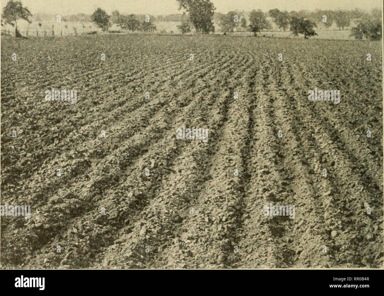 Broken wheat kernels hi-res stock photography and images - Alamy