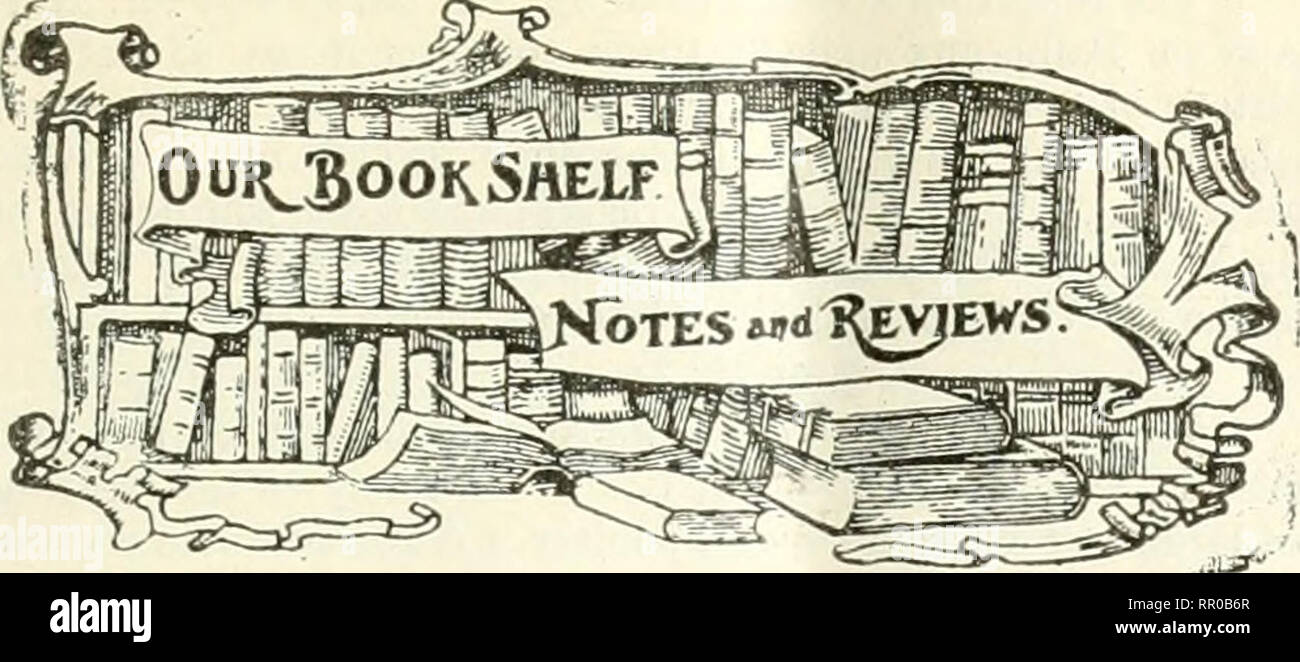 Tol cul plant hi-res stock photography and images - Alamy