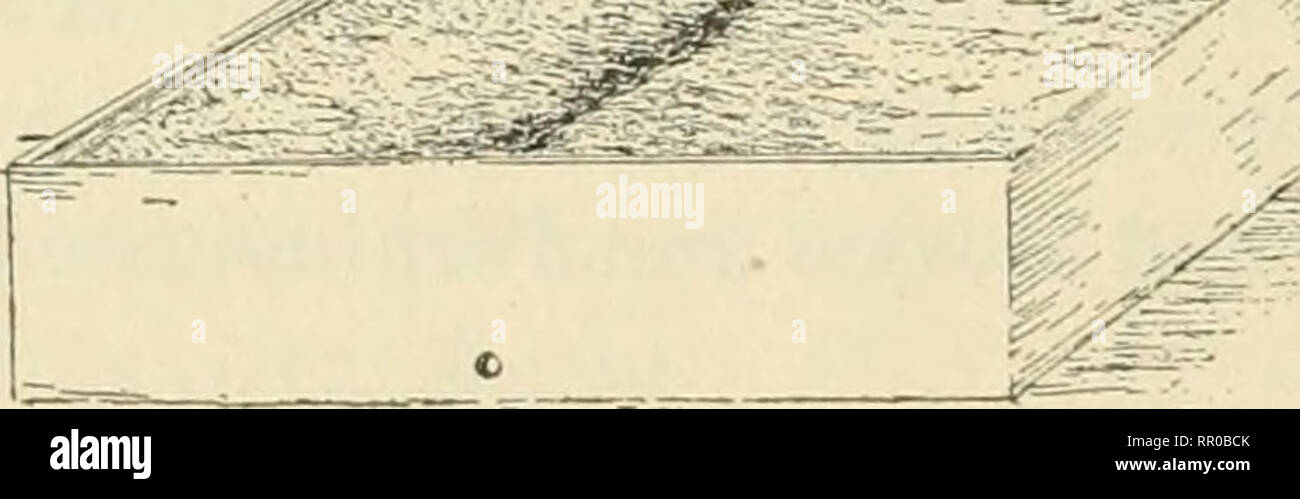 Sandy subsoil hi-res stock photography and images - Alamy