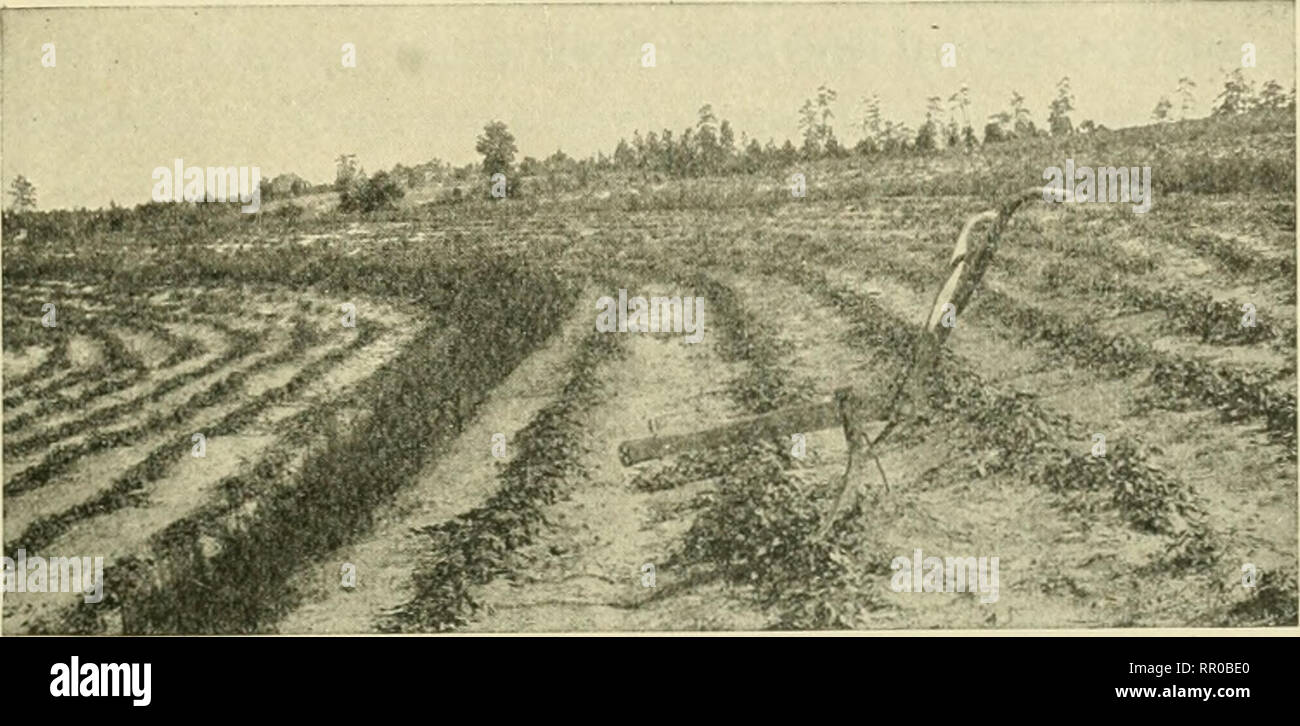 Needs loose soil hi-res stock photography and images - Alamy