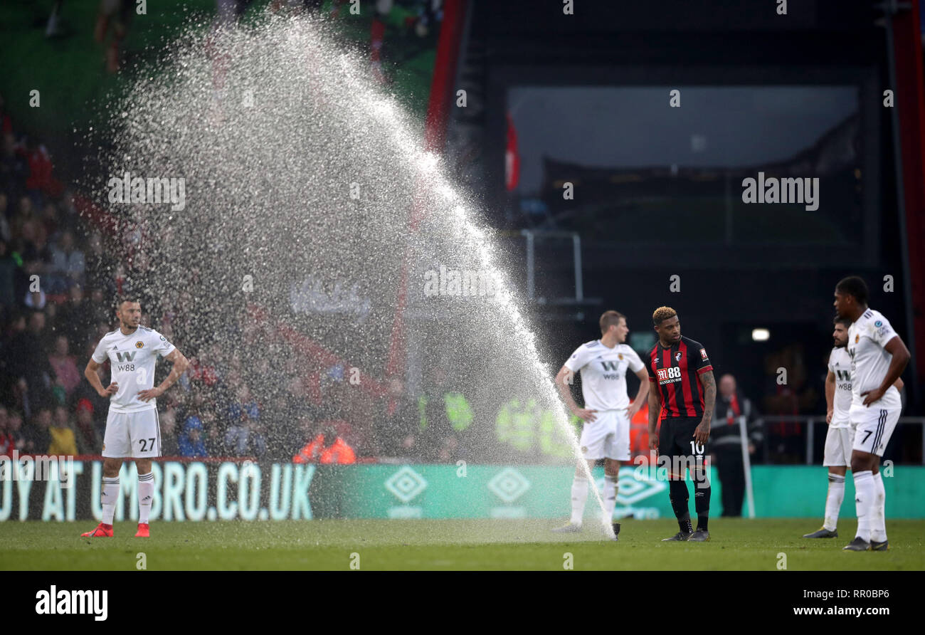 Stadium sprinkler hi-res stock photography and images - Alamy