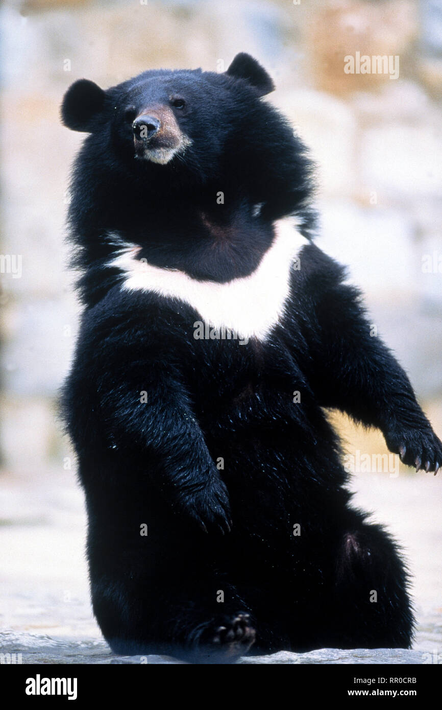 D 2002 hi-res stock photography and images - Alamy