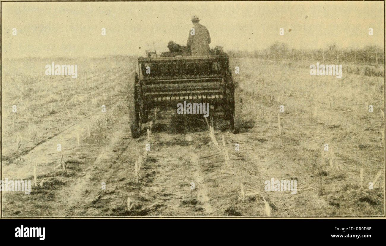Piles of potash hi-res stock photography and images - Alamy