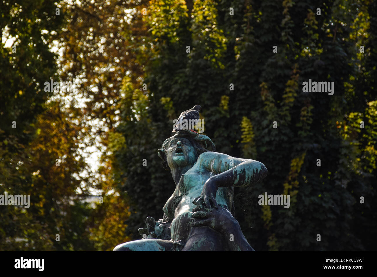 Pigeon over statue covered with poop ilustrating the animal diseases ...