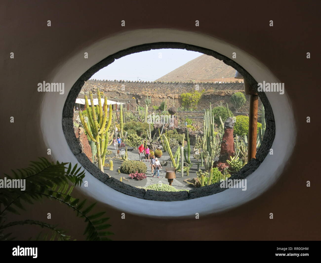 View through an oval shaped window looking out onto the cactus garden ...
