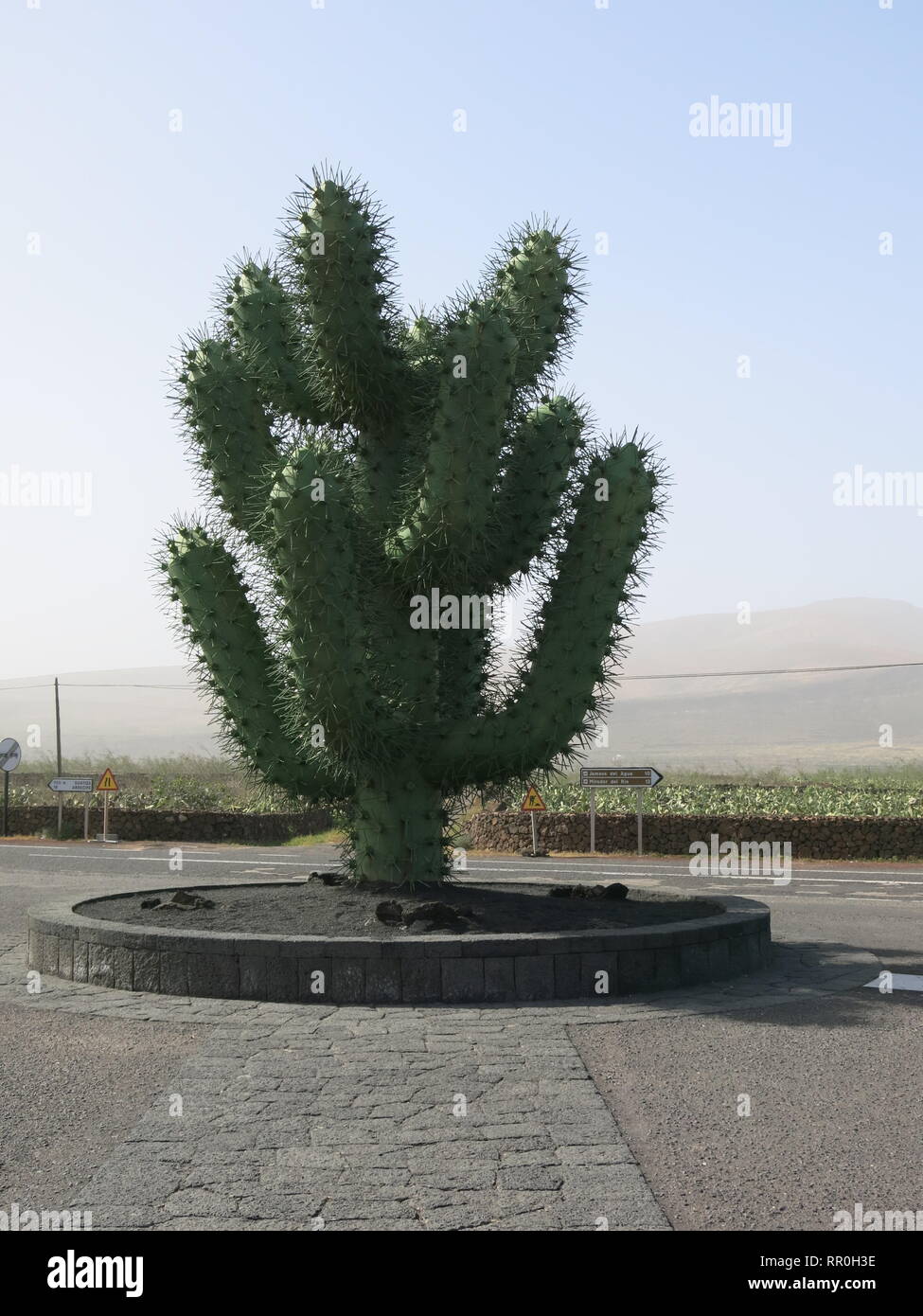 The 8m metal statue of cactus pachycereus grandis standing outside the ...