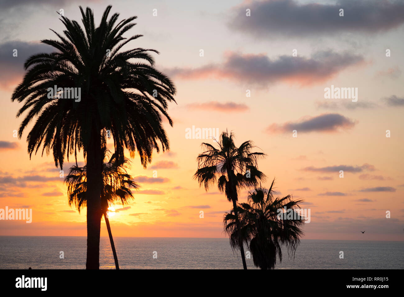 Scenic Ocean Sunset Stock Photo - Alamy
