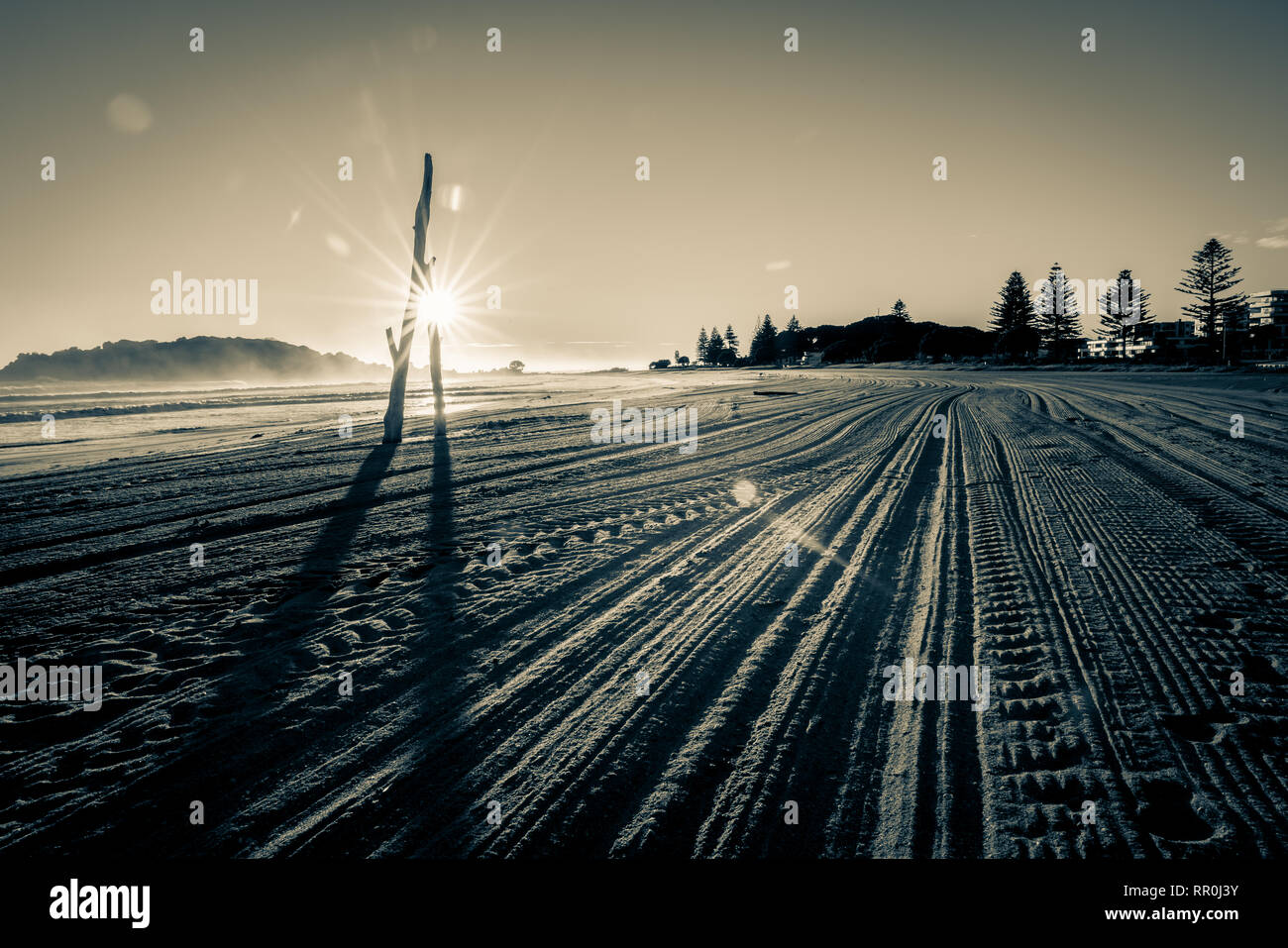 Split poles hi-res stock photography and images - Alamy