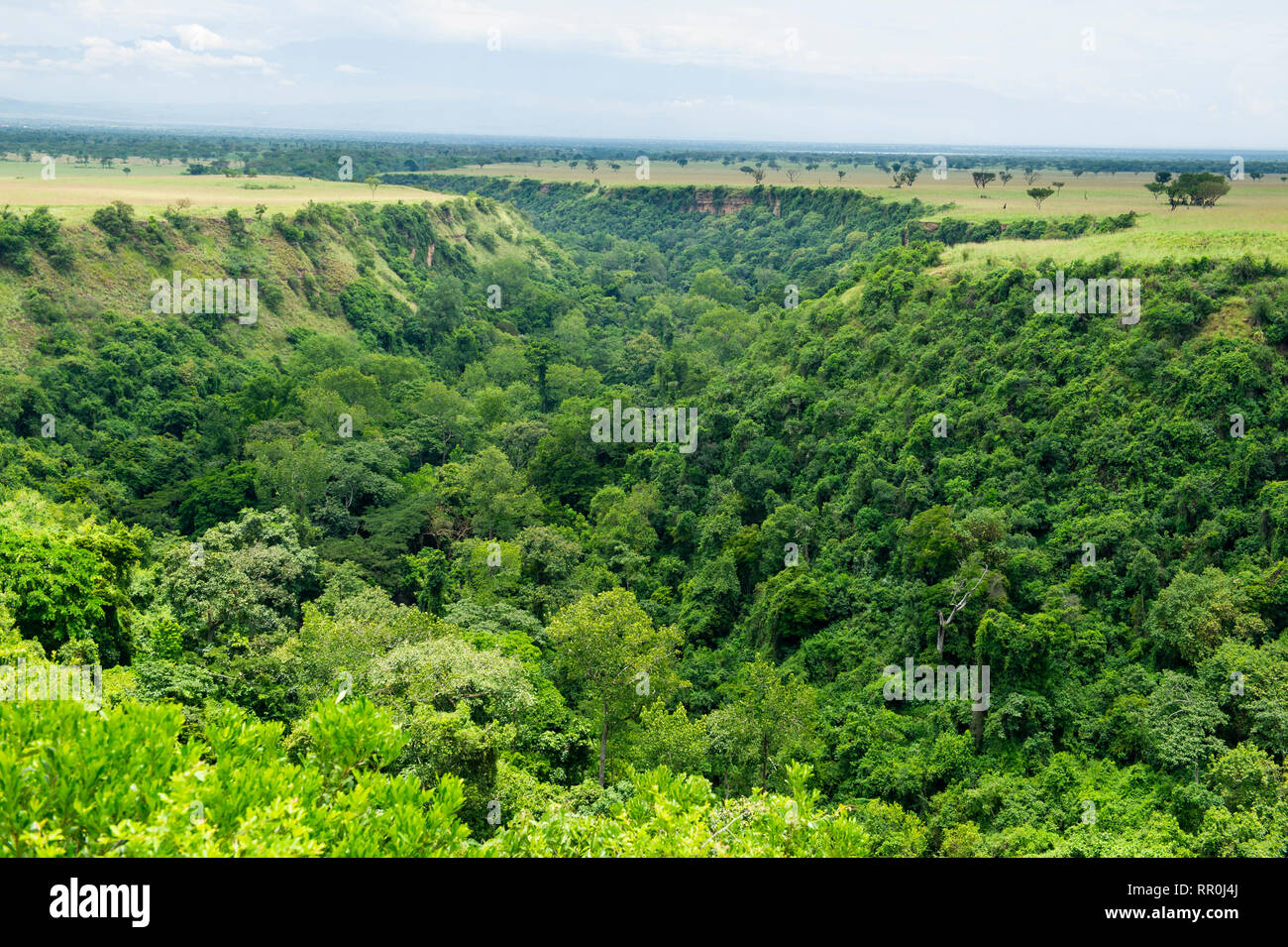 View over Kyambura Gorge, Queen Elizabeth NP, Uganda Stock Photo - Alamy