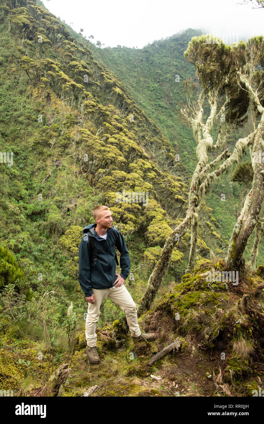 Tourist climbing Mount Sabyinyo, volcano in the Virunga Mountains ...