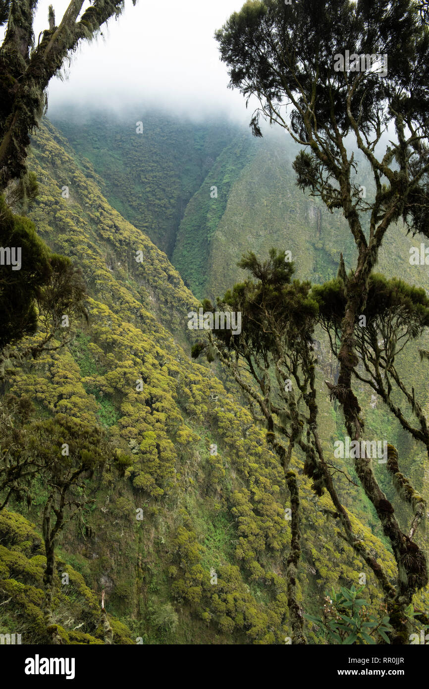 Virunga mountain hi-res stock photography and images - Alamy