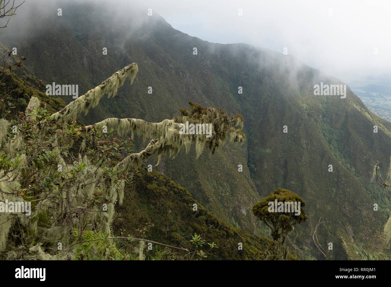 Mountain view in mist on the Mount Sabyinyo climb in the Virunga ...
