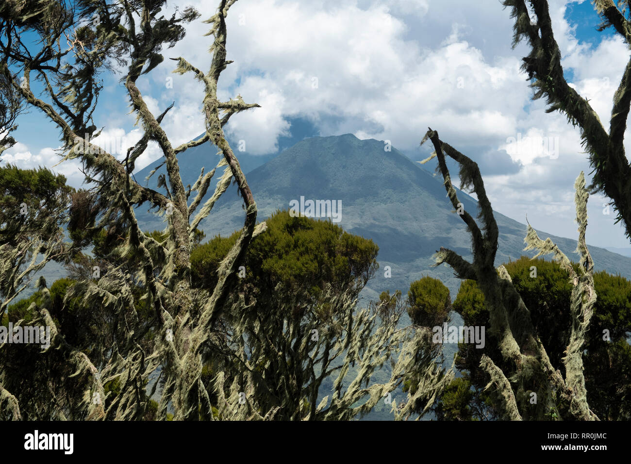 Mountain view in mist on the Mount Sabyinyo climb in the Virunga ...