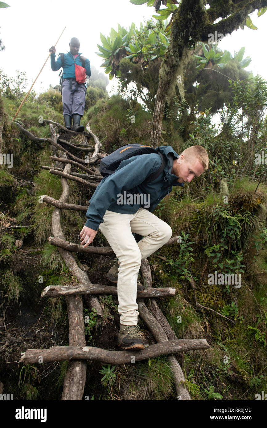 Tourist climbing Mount Sabyinyo, volcano in the Virunga Mountains ...