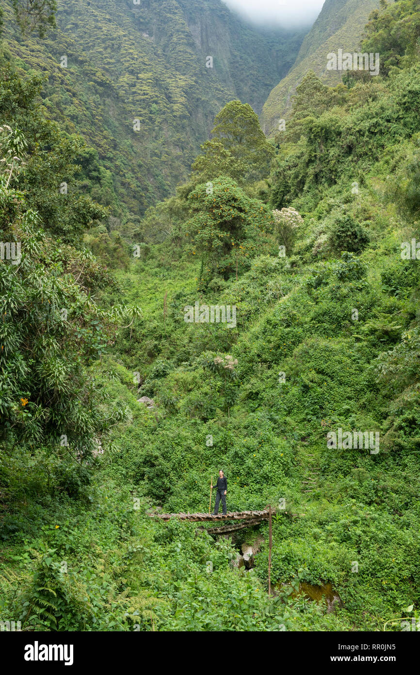 Sabyinyo gorge on Sabyinyo volcano in the Virunga Mountains, Mgahinga ...