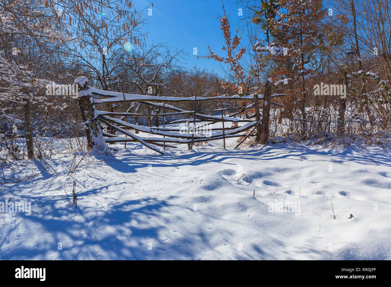 Wooden fence covered with snow in the forest Stock Photo - Alamy