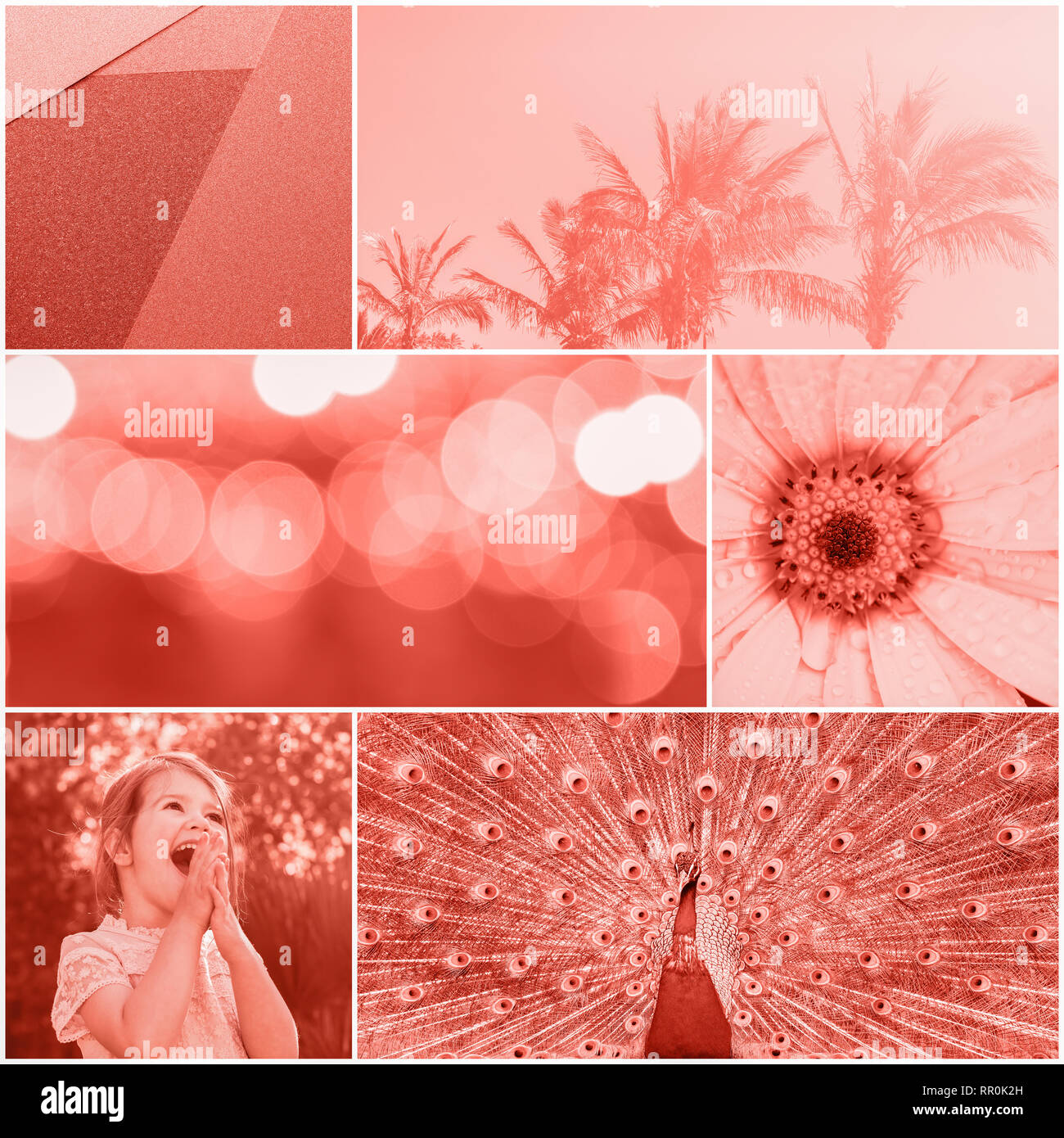 Collage in trendy coral colors, little girl, bokeh, textures, palm ...