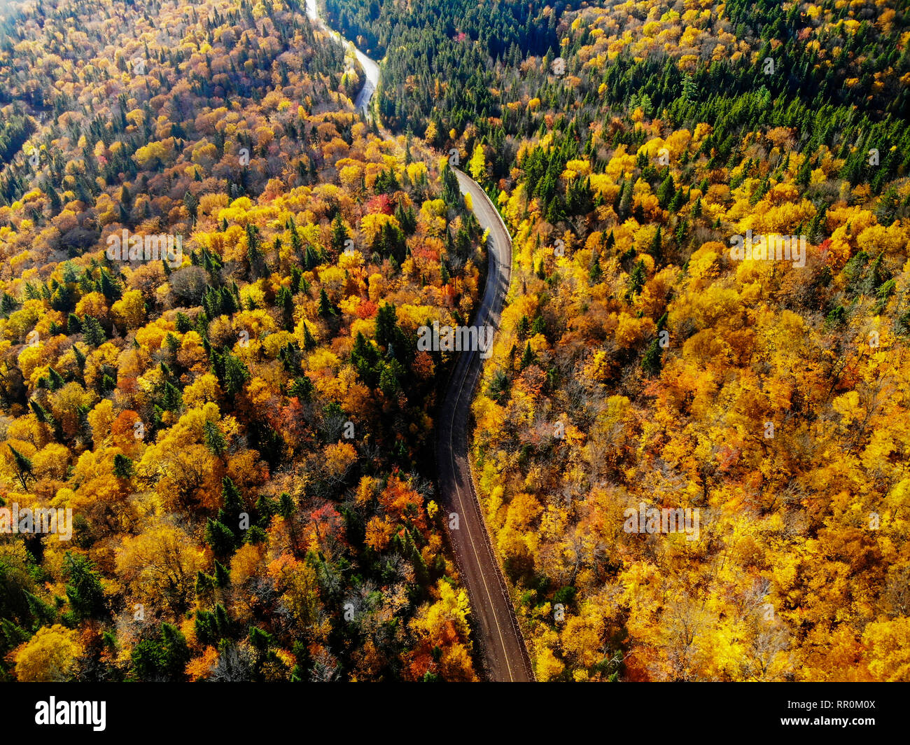 La pimbina mont tremblant national park hi-res stock photography and ...