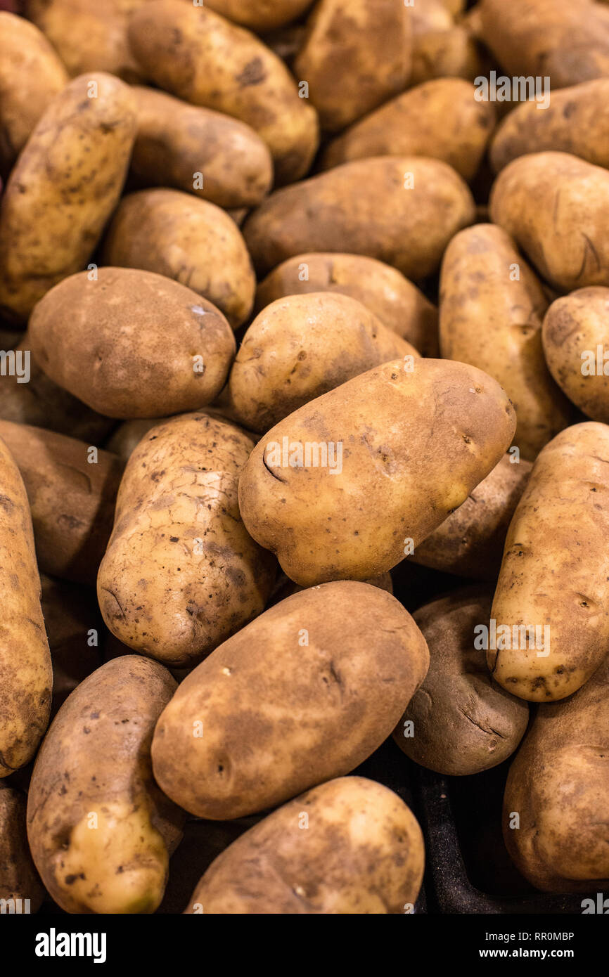 Heap of raw white potatoes in grocery bin Stock Photo - Alamy