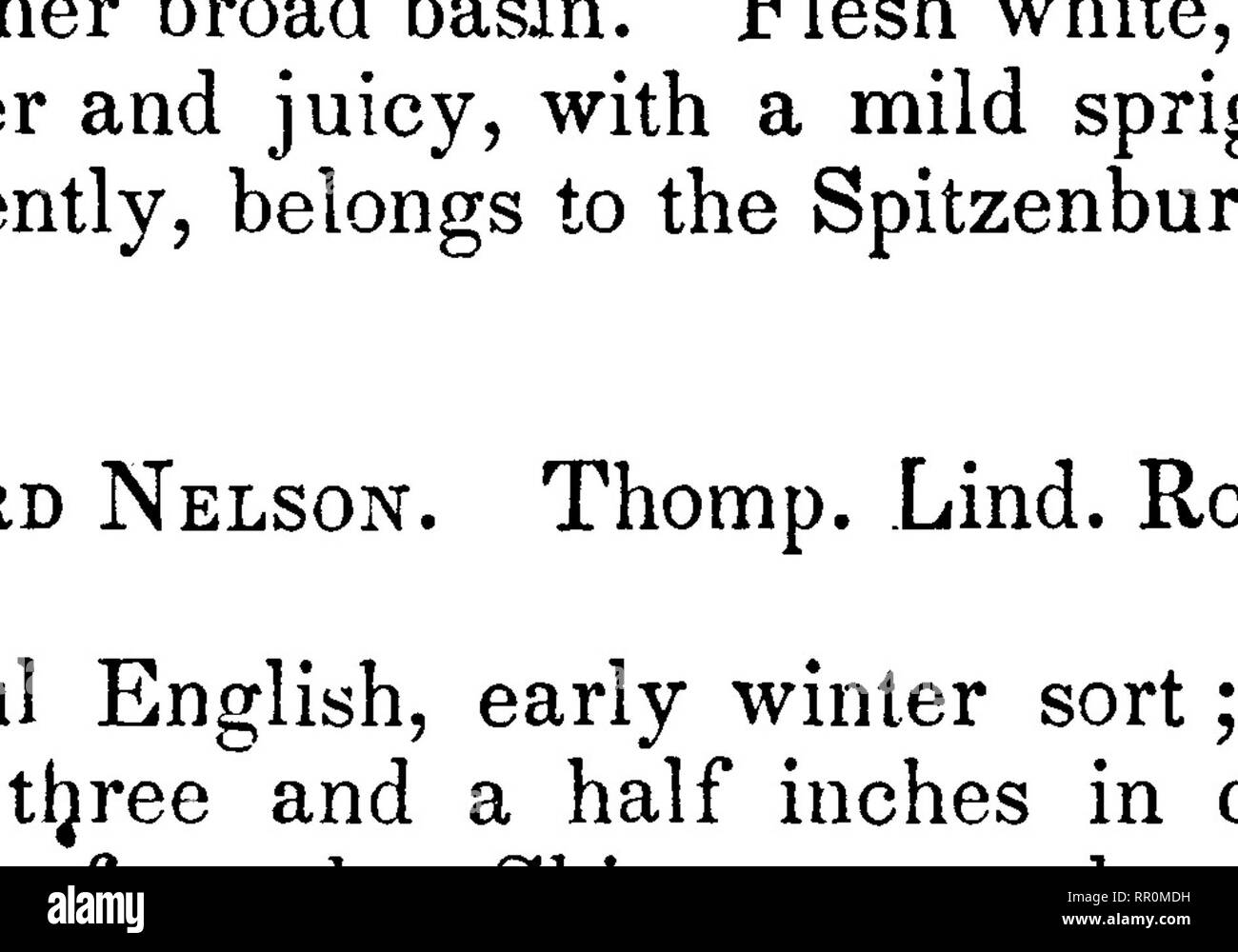 Api rouge hi-res stock photography and images - Alamy