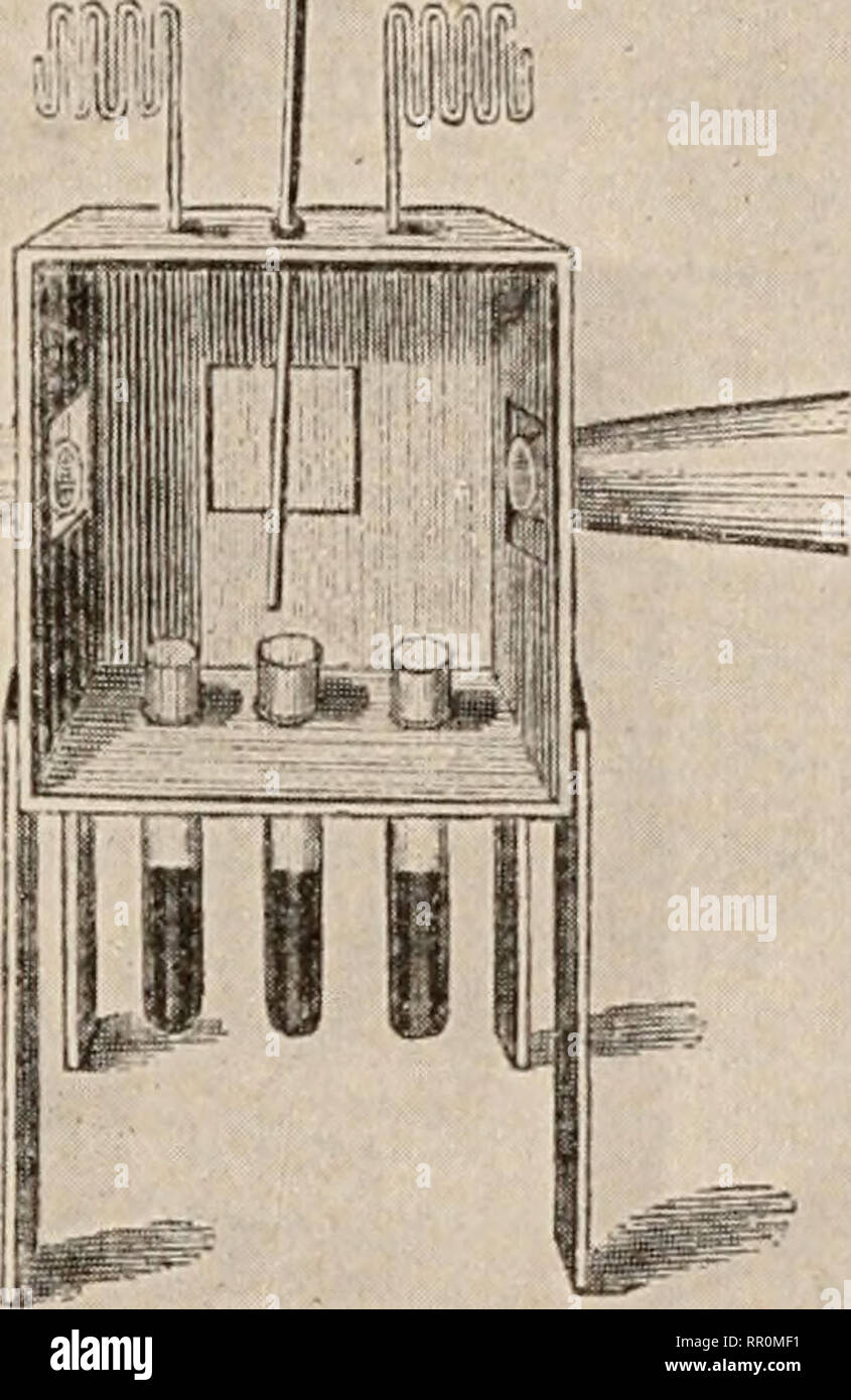 . Agricultural bacteriology. Bacteriology, Agricultural. FIG. 4 ...
