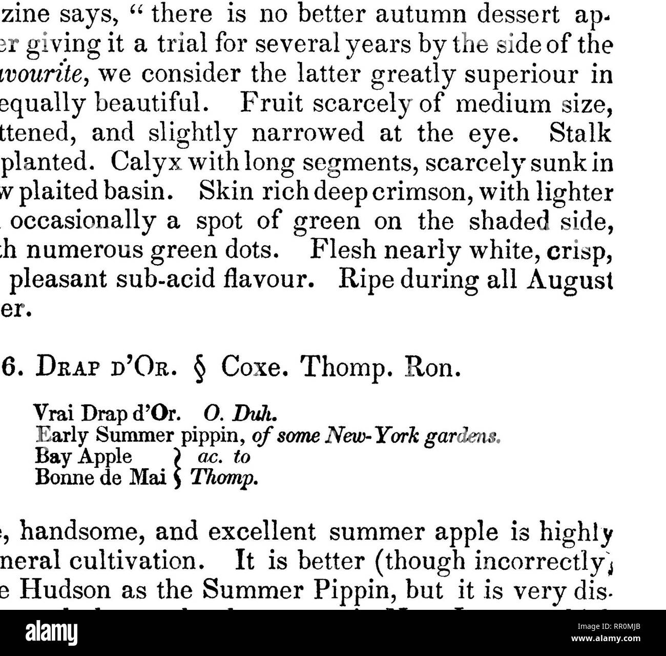 Mild flavour Black and White Stock Photos & Images - Alamy