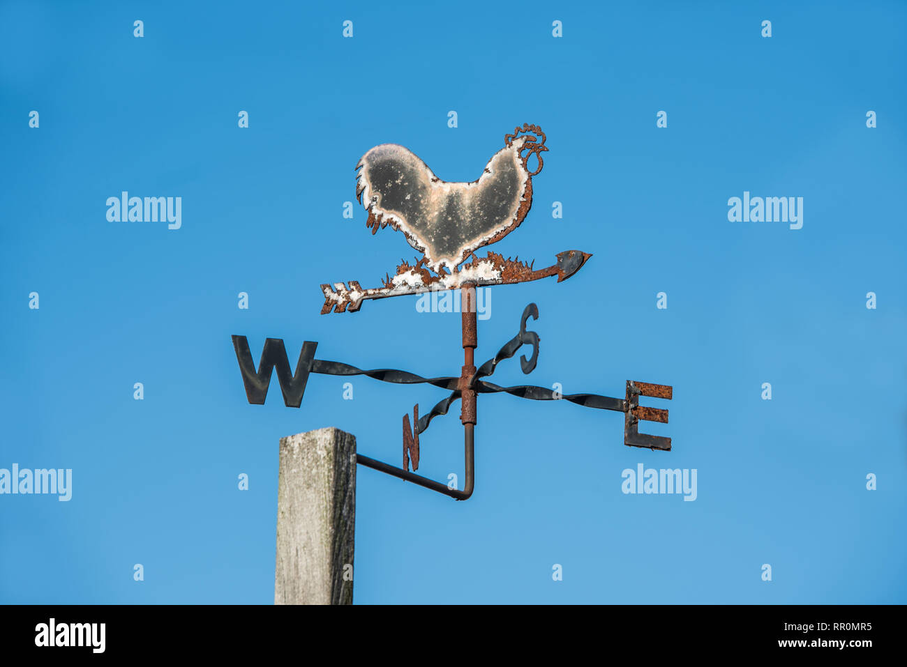 Rusty weathercock in a garden shows where the wind blows from Stock ...
