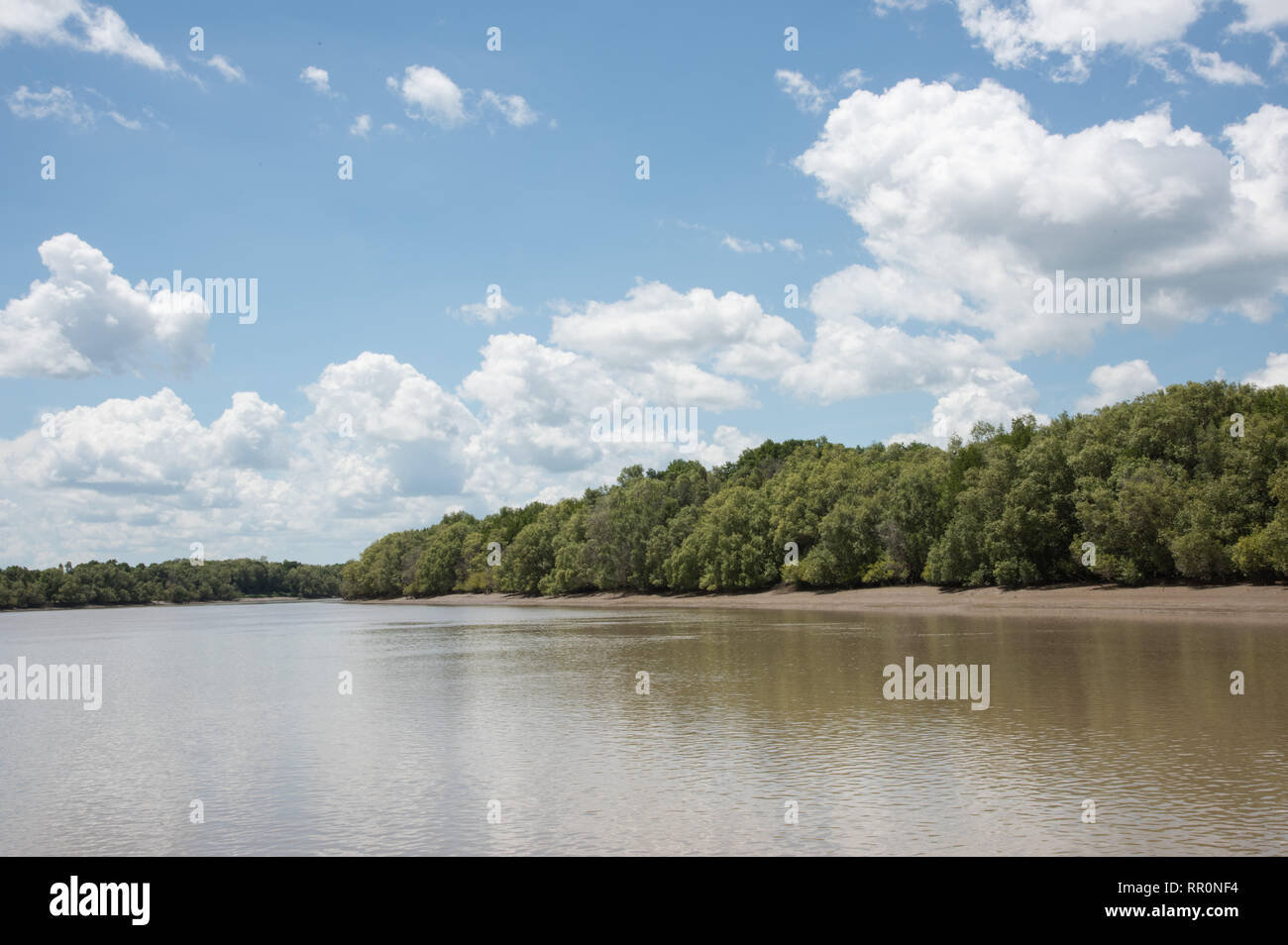 Adelaide River scene with lush greenery under a blue sky with clouds in ...