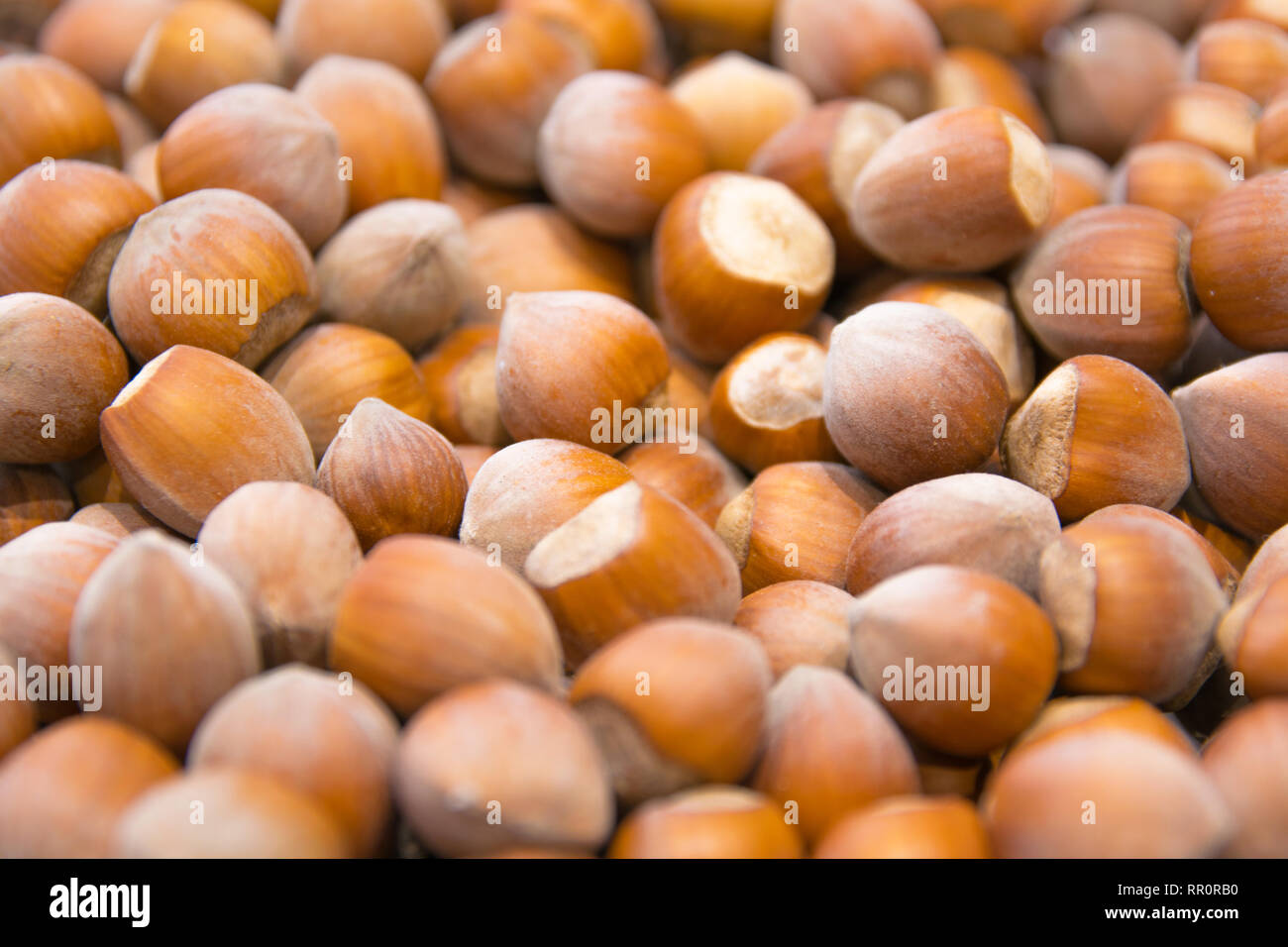 Hazelnut, filbert background texture close up. Group of dried fruit ...