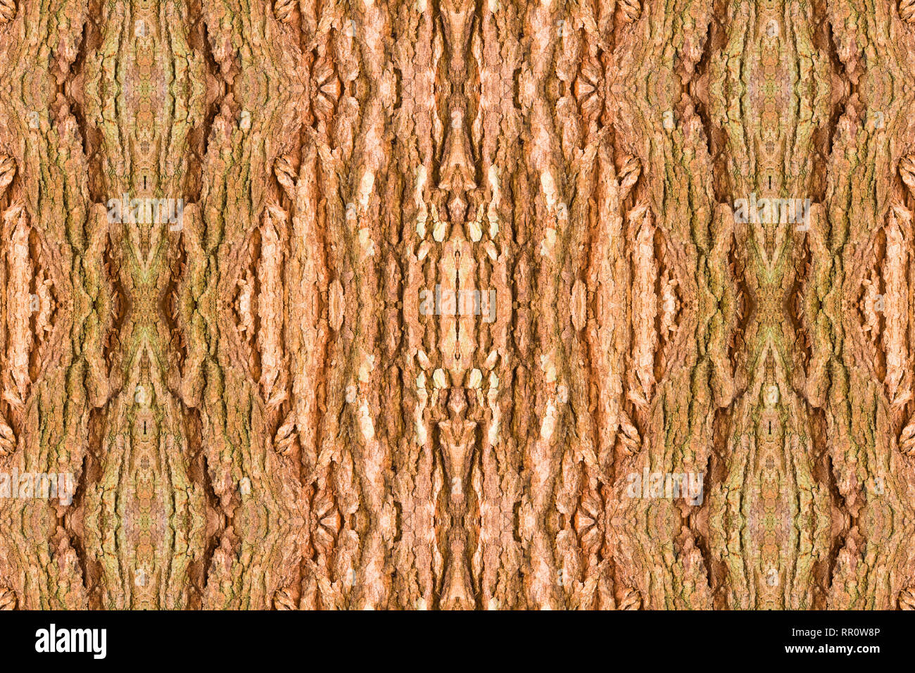 wood shell tamarind texture design seamless pattern. for background ...