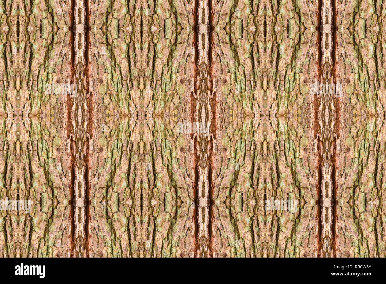 wood shell tamarind texture design seamless pattern. for background ...