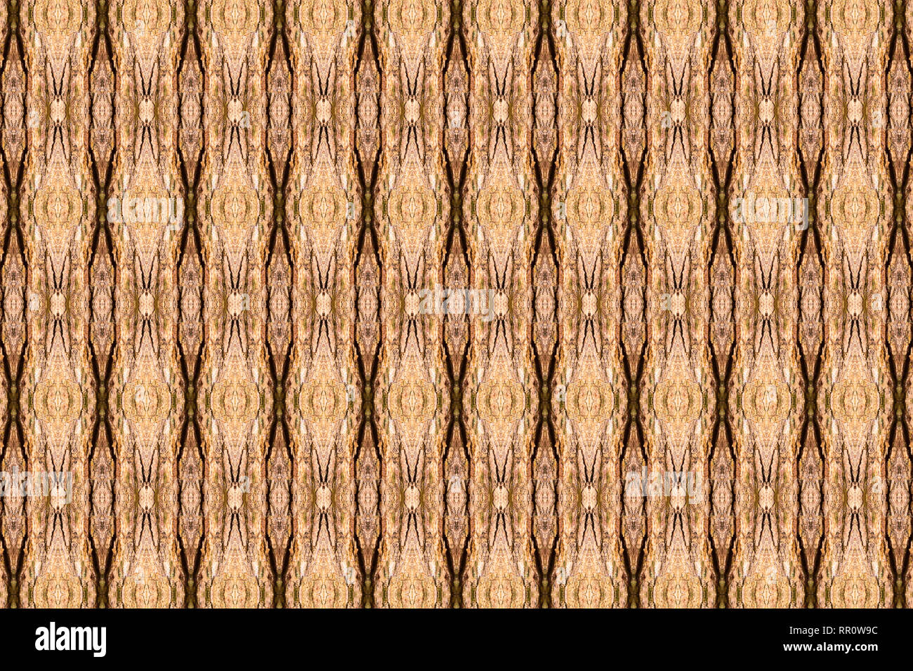 wood shell tamarind texture design seamless pattern. for background ...