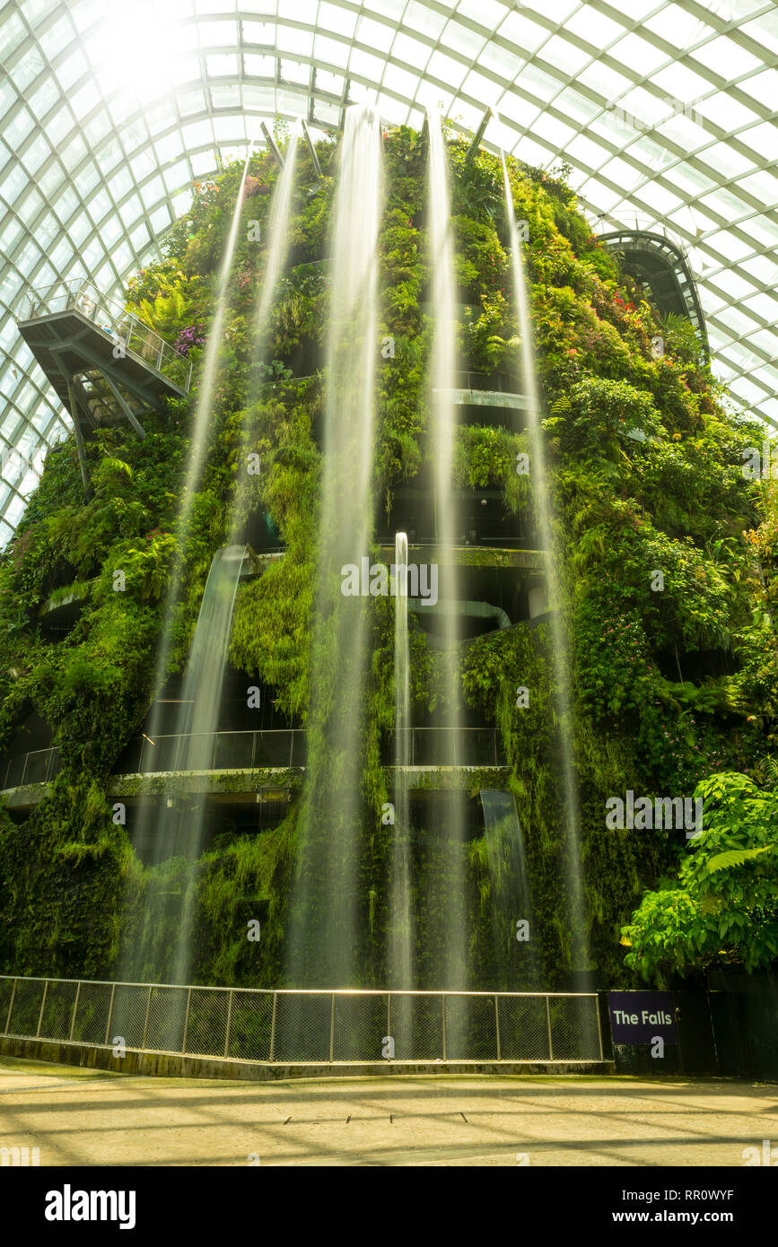 Rain tree singapore botanic gardens hi-res stock photography and images ...