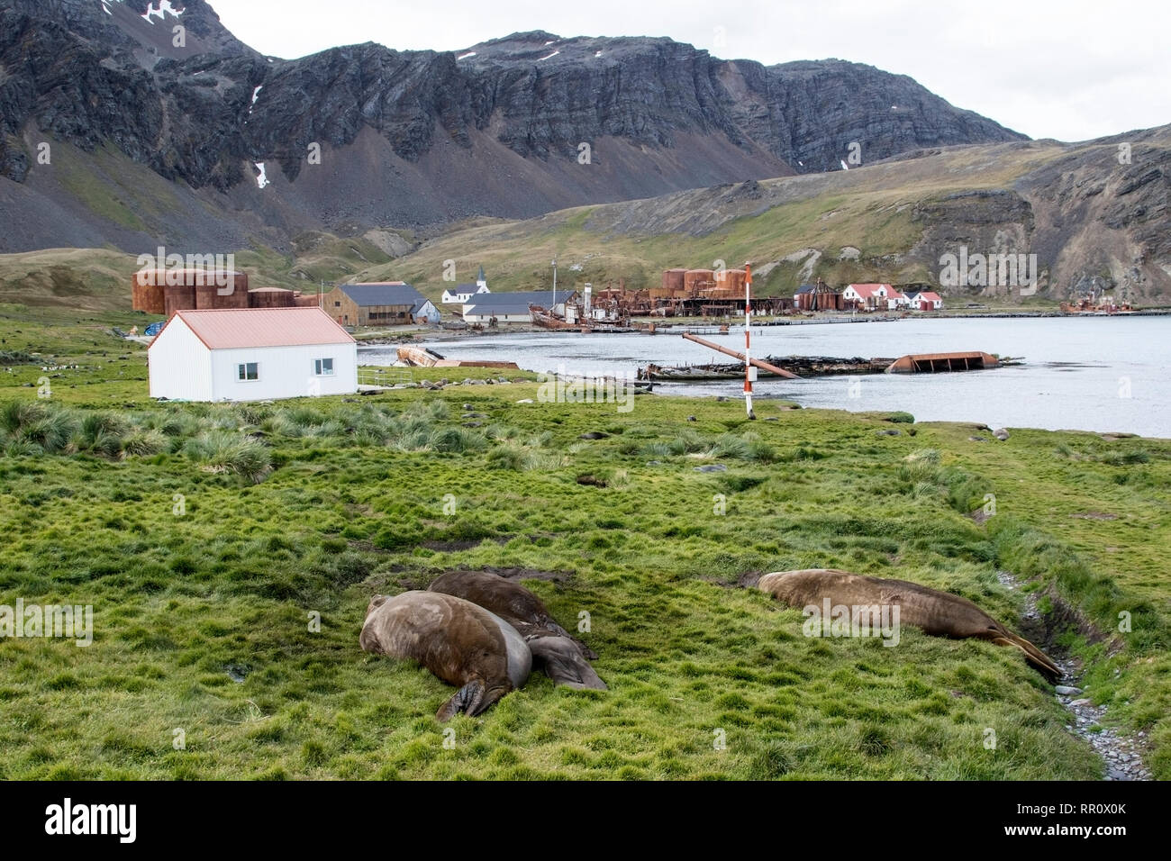 Grytviken, South Georgia, 5 January 2019 Stock Photo - Alamy