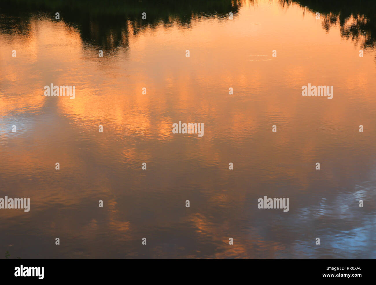 reflection river and shadow tree in water beautiful sunset nature Stock ...