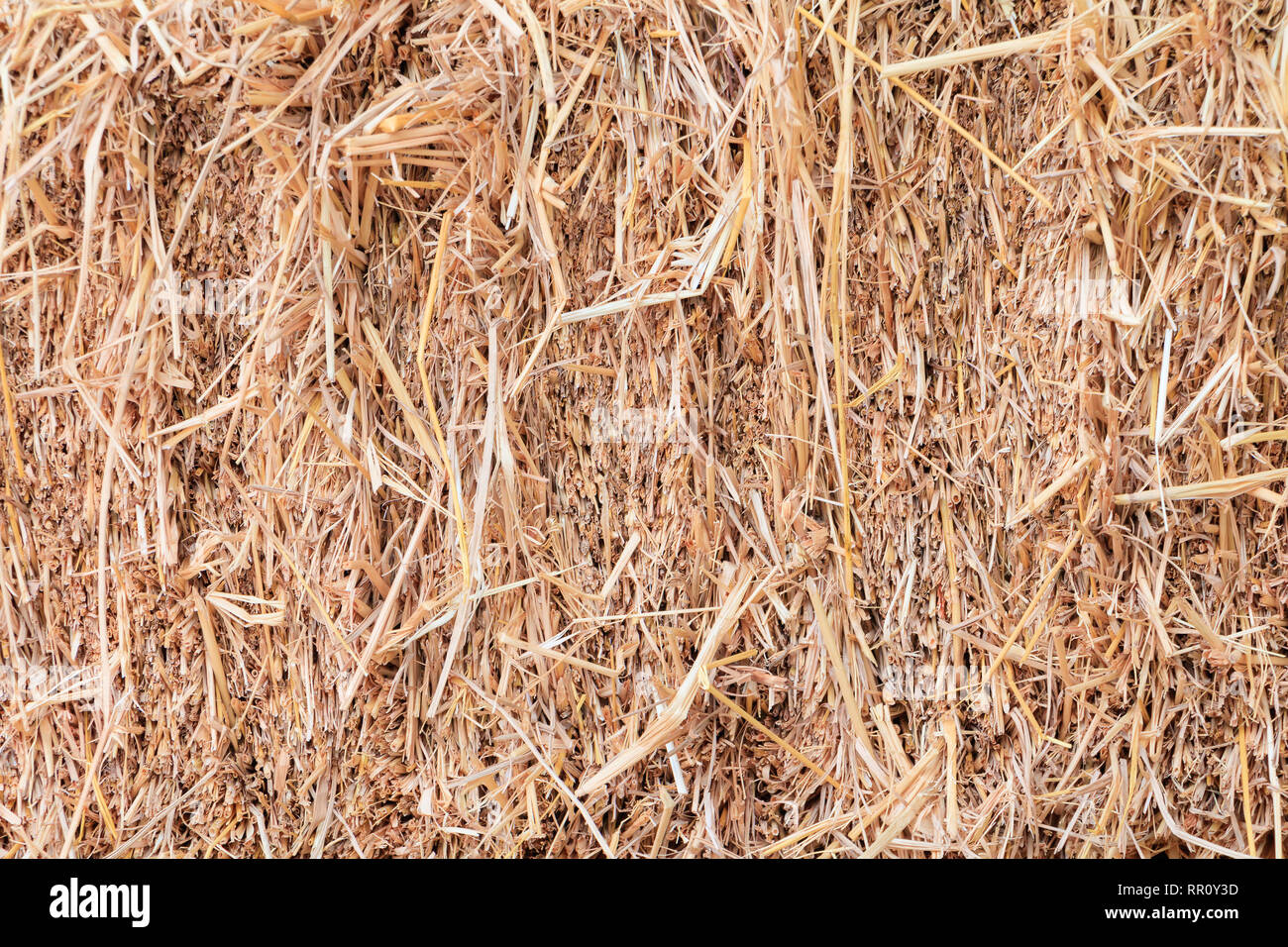 Dry Straw texture background with copy space add text Stock Photo - Alamy