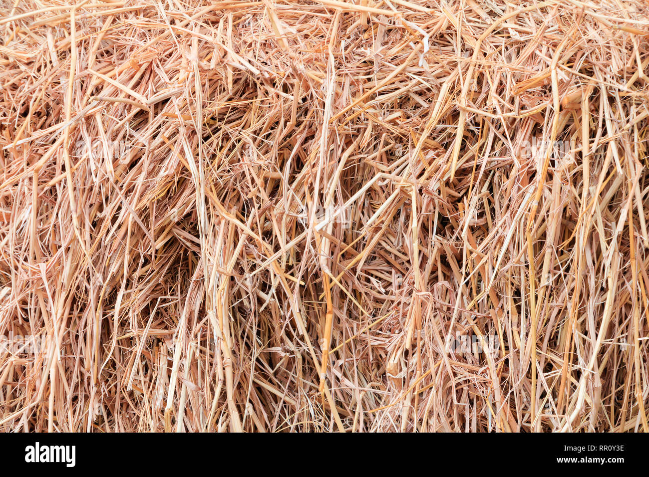 Dry Straw texture background with copy space add text Stock Photo - Alamy