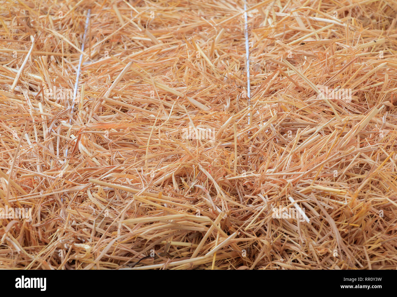 Dry Straw texture background with copy space add text Stock Photo - Alamy