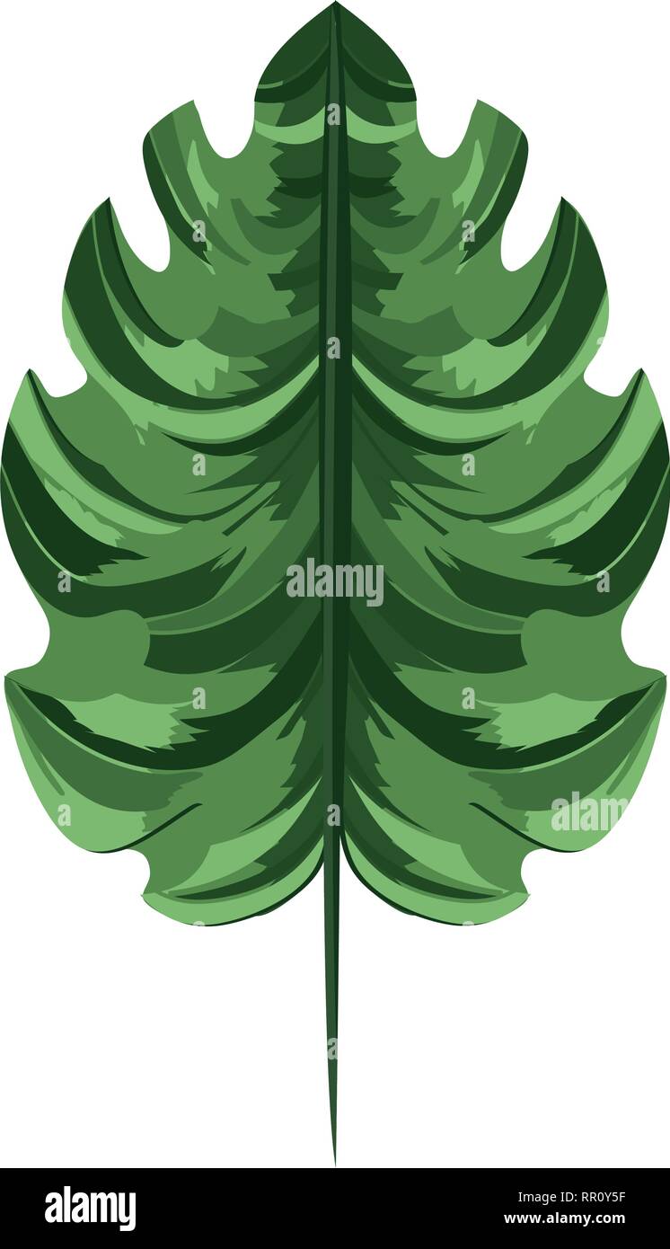 nature leaf cartoon Stock Vector Image & Art - Alamy